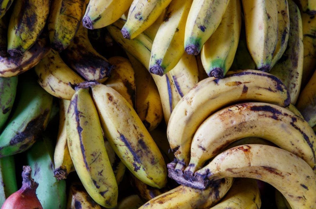 Por que as bananas escurecem? Veja dicas para evitar esse processo